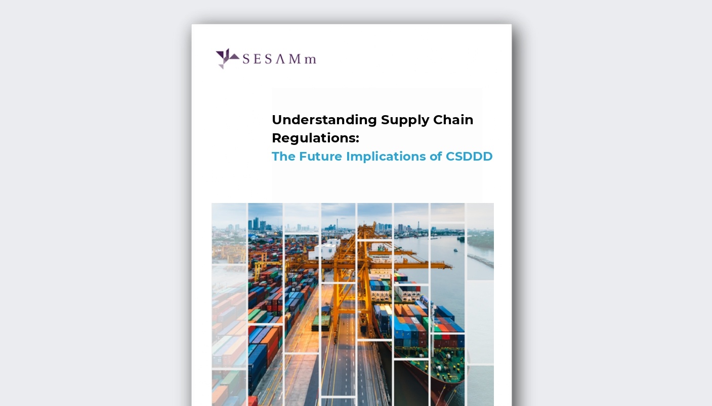 Understanding Supply Chain Regulations: The Future Implications of CSDDD Understanding Supply Chain Regulations: The Future Implications of CSDDD